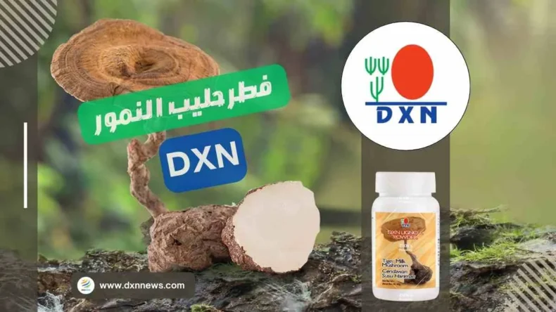 فطر حليب النمور DXN: فوائده و أضراره وكيفية استخدامه